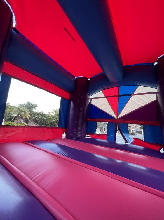 Cotton candy Bounce House - The Bounce House Company