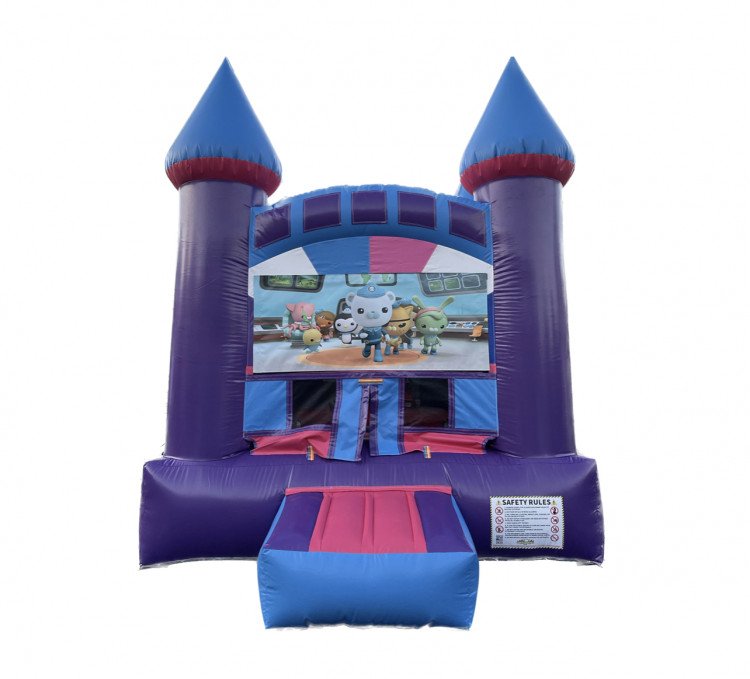 Cotton candy Bounce House - The Bounce House Company